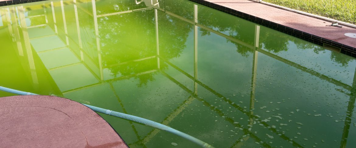 Green Pool Cleaning - The Ultimate Guide – Direct Pool Supplies AU